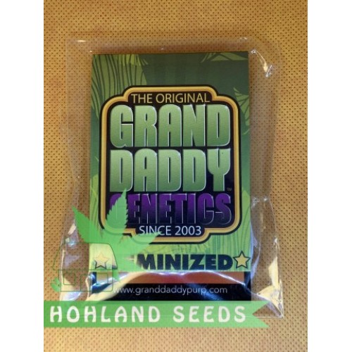 Candyland - Семена конопли - Hohlandseeds