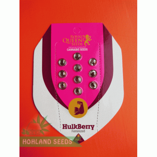 Hulk Berry - Семена конопли - Hohlandseeds