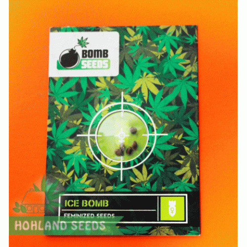 Ice Bomb - Семена конопли - Hohlandseeds