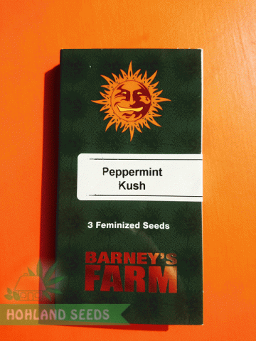 Peppermint Kush - Семена конопли - Hohlandseeds