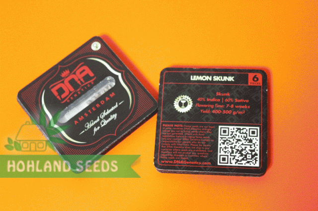 Lemon Skunk - Семена конопли - Hohlandseeds