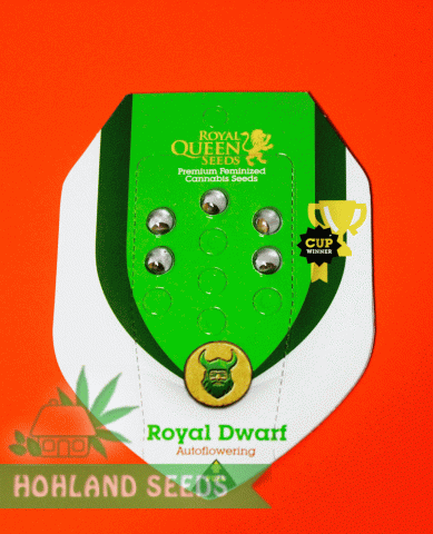Royal Dwarf Automatic - Семена конопли - Hohlandseeds