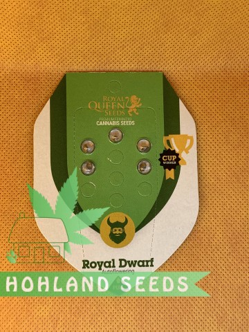 Royal Dwarf Automatic - Семена конопли - Hohlandseeds