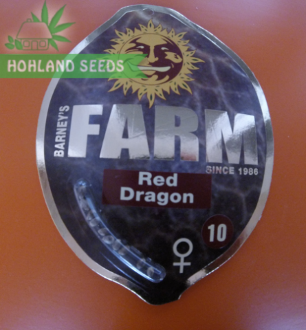 Red Dragon - Семена конопли - Hohlandseeds